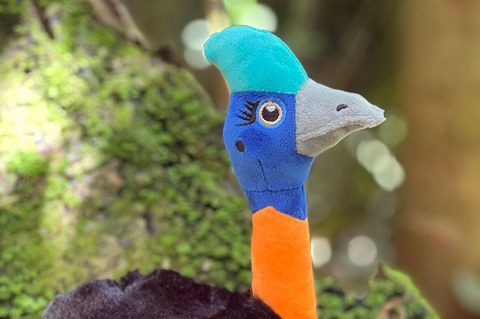 TCA Shop - Tenkile Conservation Alliance